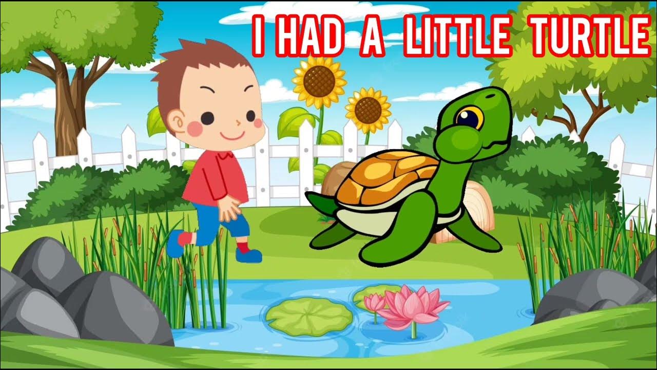 I Had A Little Turtle | Tiny Tim | Nursery Rhyme Song for kids - YouTube