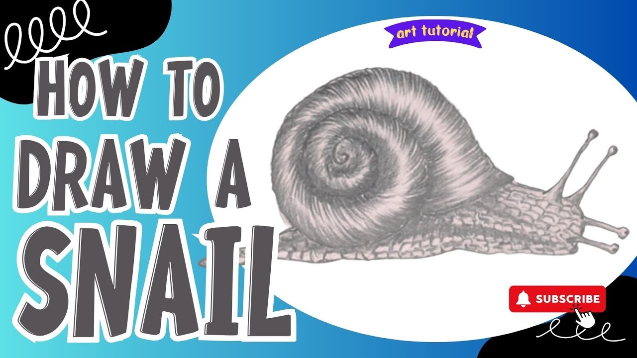 How to draw a snail. - YouTube