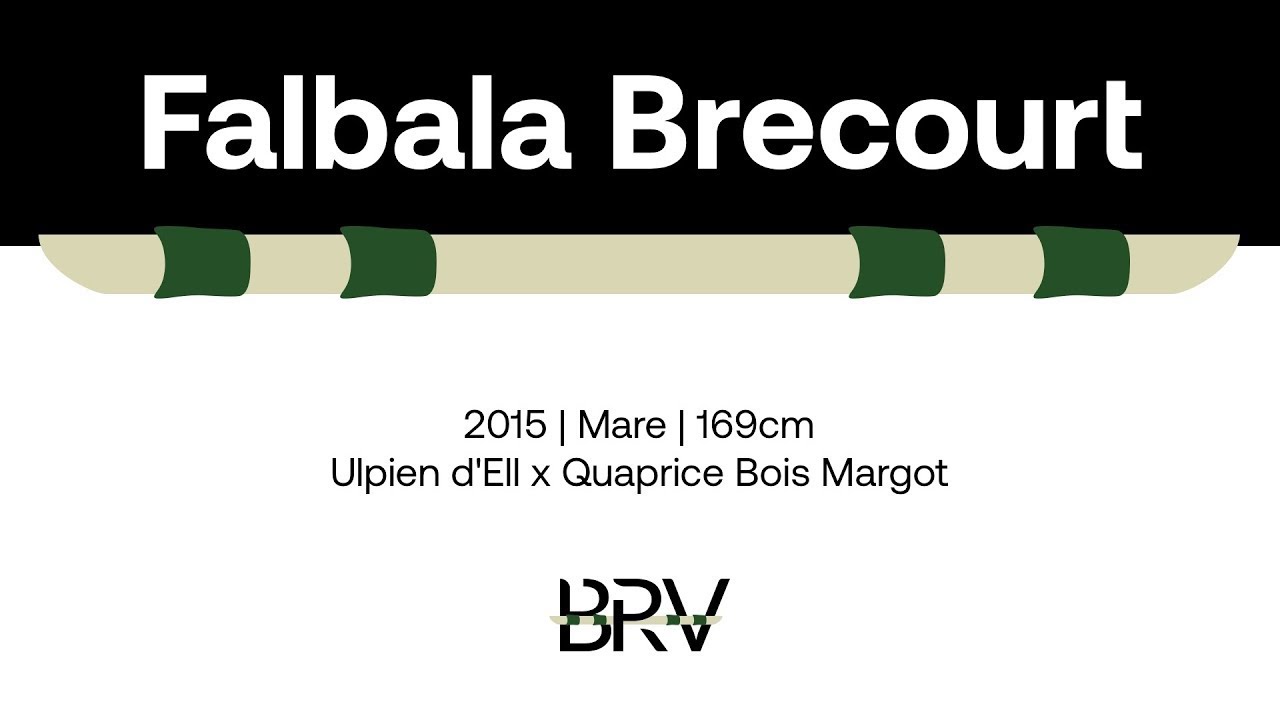 2015 | Ulpien d'Elle x Quaprice Bois Margot Quincy | Mare | Show Video ...