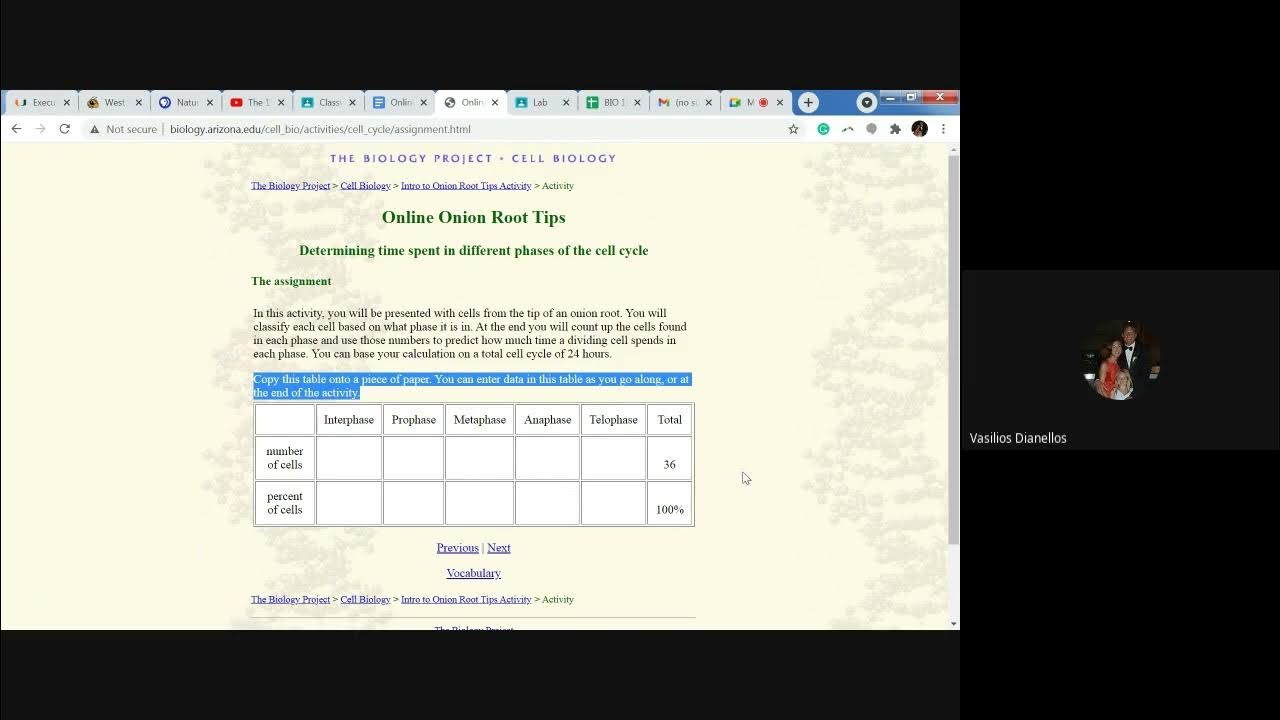 How to do Online Mitosis Lab - YouTube
