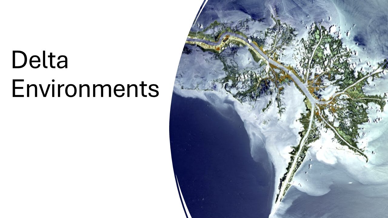 17 - Delta environments - YouTube