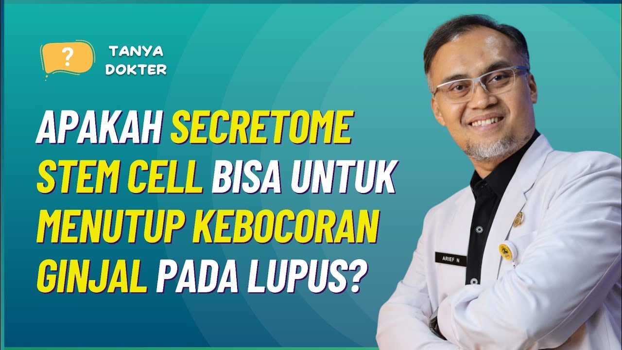Apakah Secretome Stem Cell Bisa Menutup Kebocoran Ginjal Pada Lupus ...