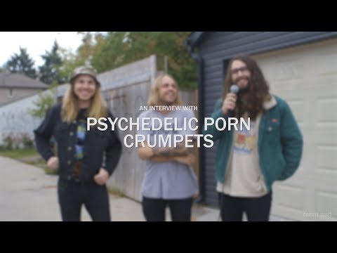 An Interview with Psychedelic Porn Crumpets