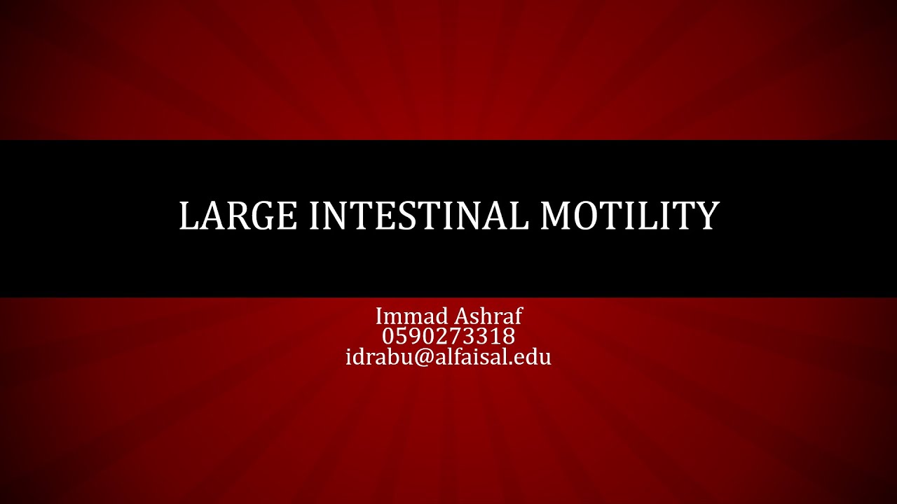 Large Intestinal Motility | Immad Ashraf | GIT 113 PAL review session ...