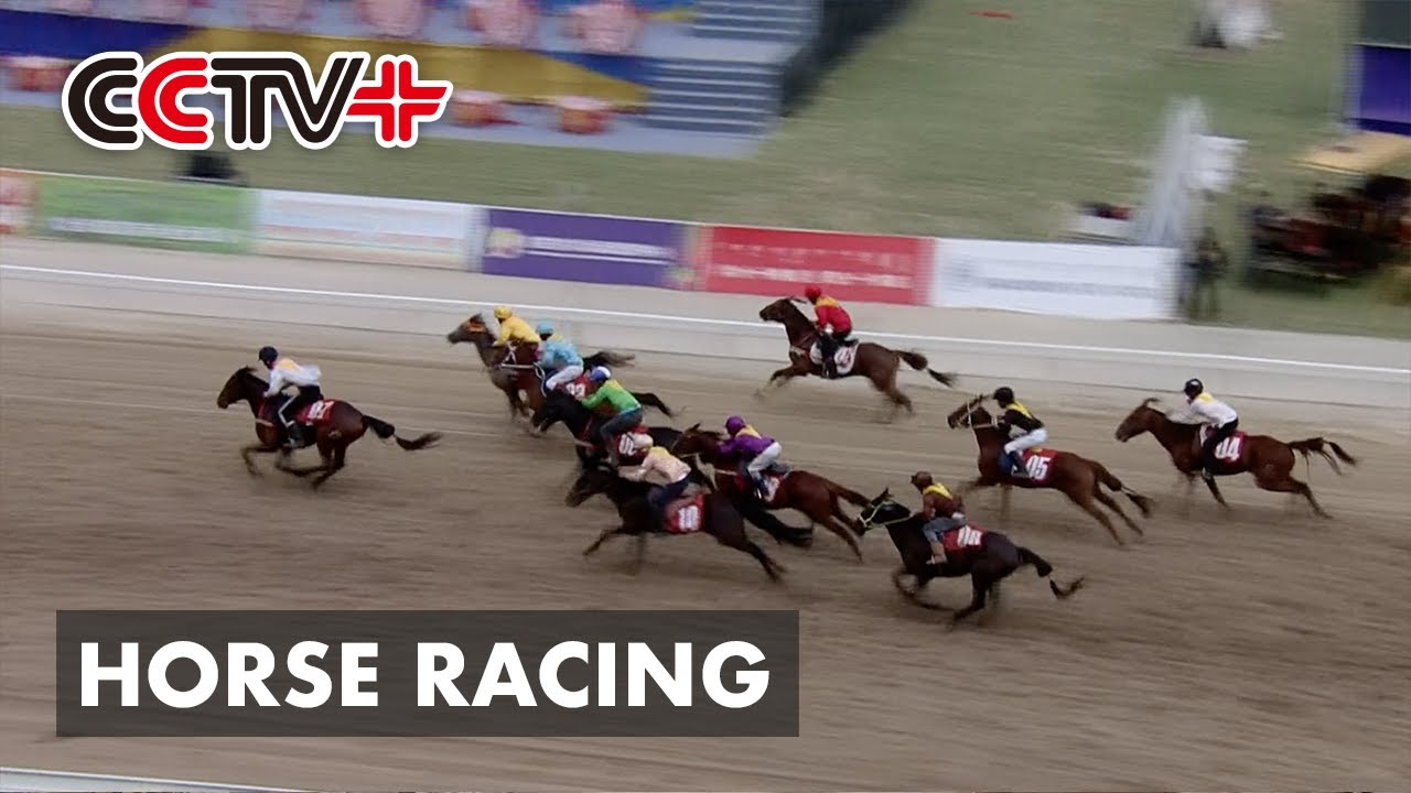 Horse Race Opening Ceremony Kicks Off in North China - YouTube