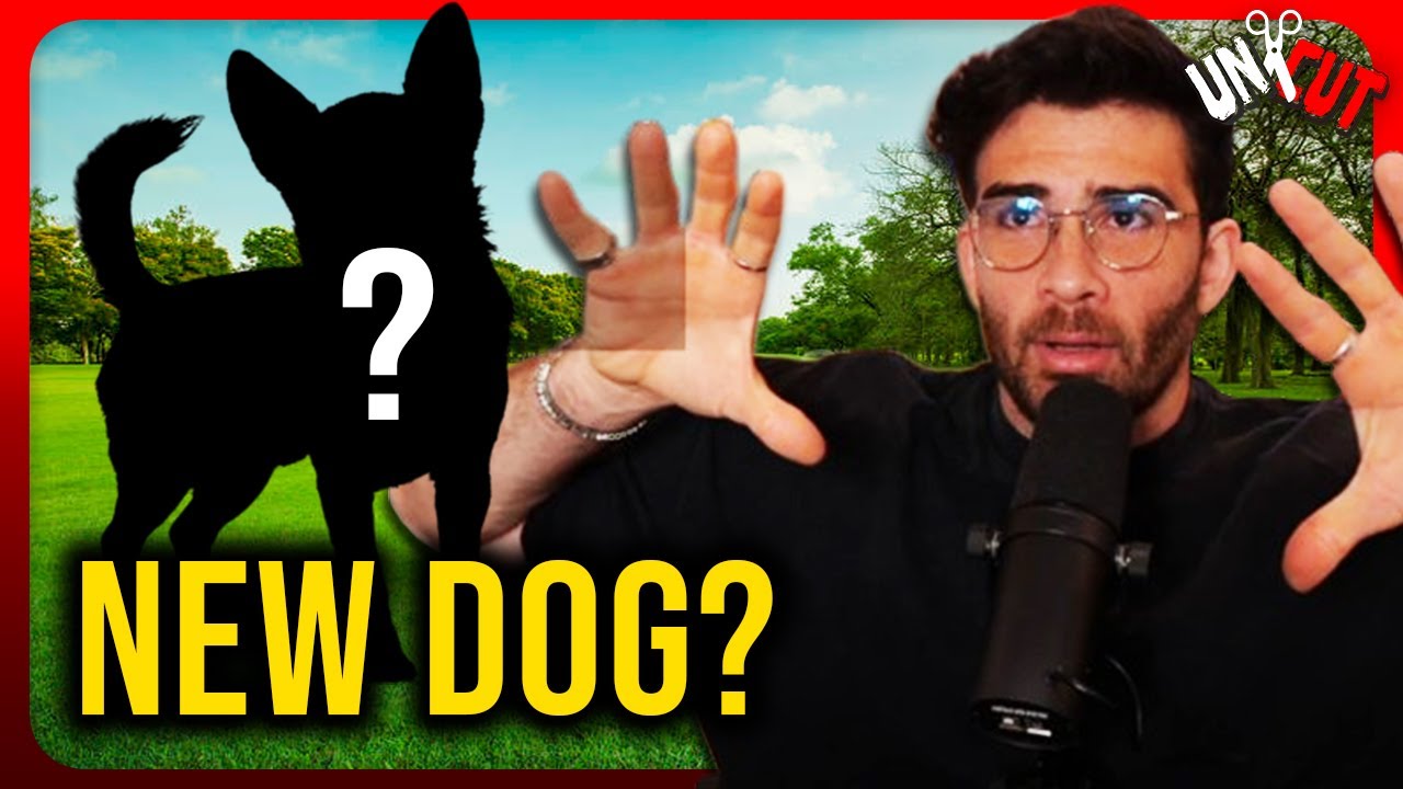 What Breed of DOG Will I ADOPT? | Hasanabi Announces his Puppy Arc and ...