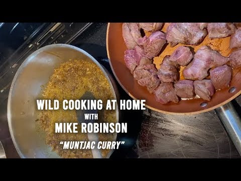 Wild Cooking at Home: Muntjac Curry - YouTube