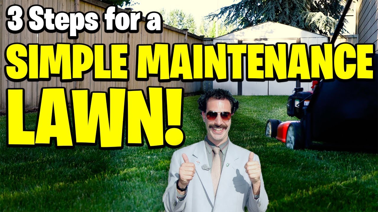 3 Steps for a SIMPLE MAINTENANCE LAWN! - YouTube