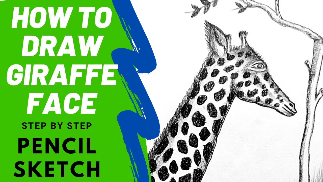 How To Draw Realistic Giraffe With Pencil, Giraffe Drawing Easy ...