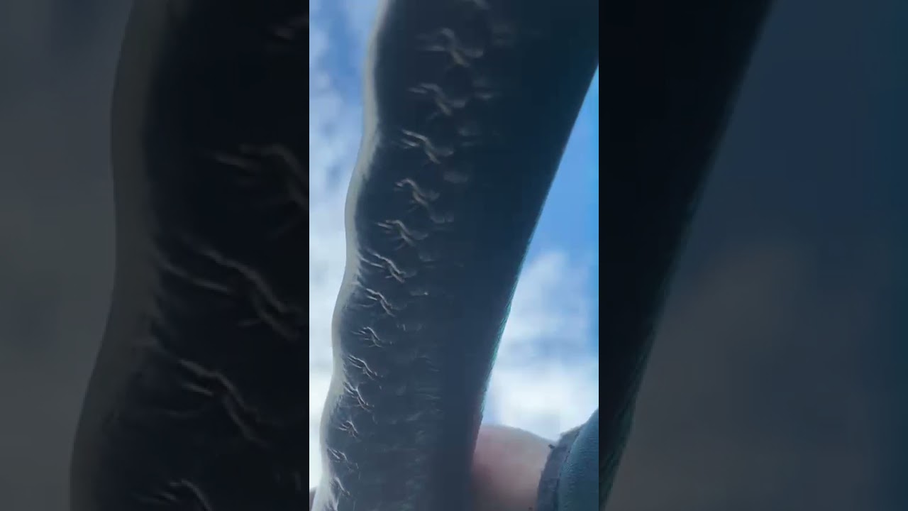 Just another day in Ballyer - YouTube