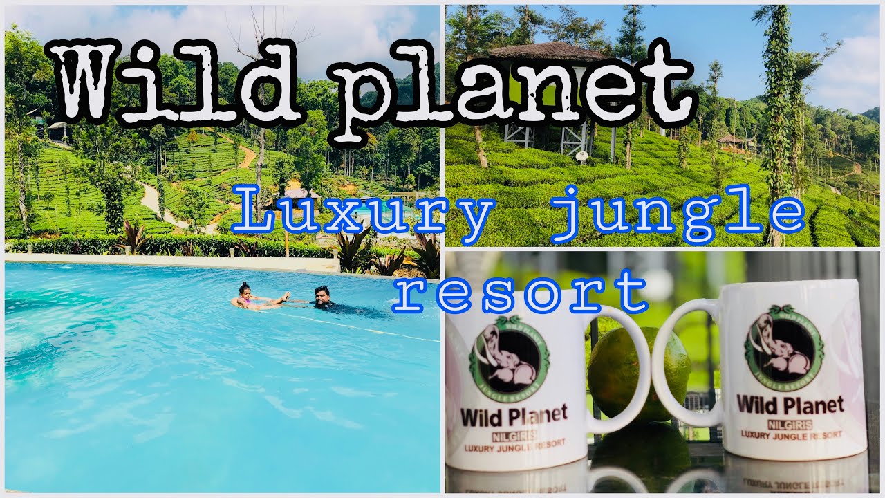 wild planet || Luxury jungle Resort || Thahnoo's World - YouTube
