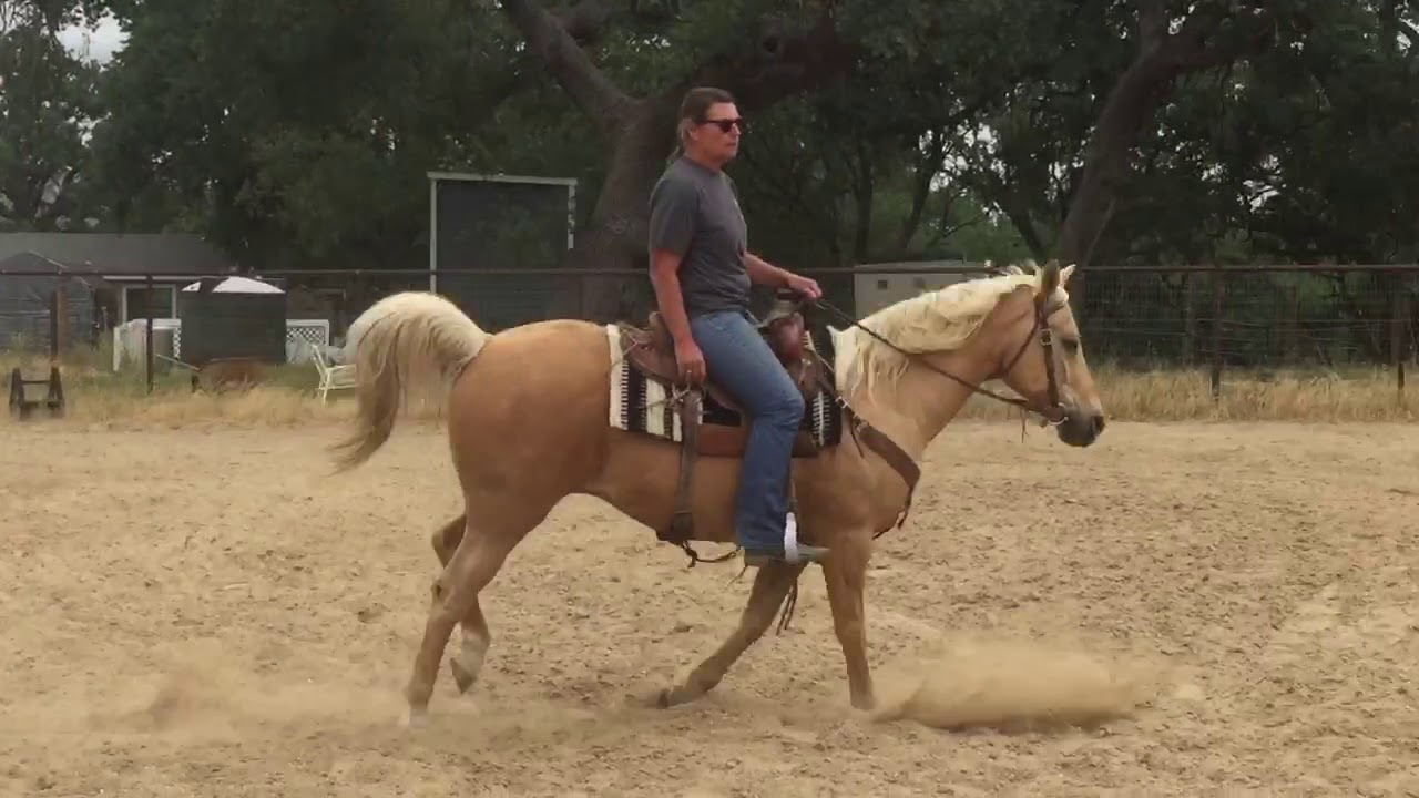 Willing Strider with Barb Riley - YouTube