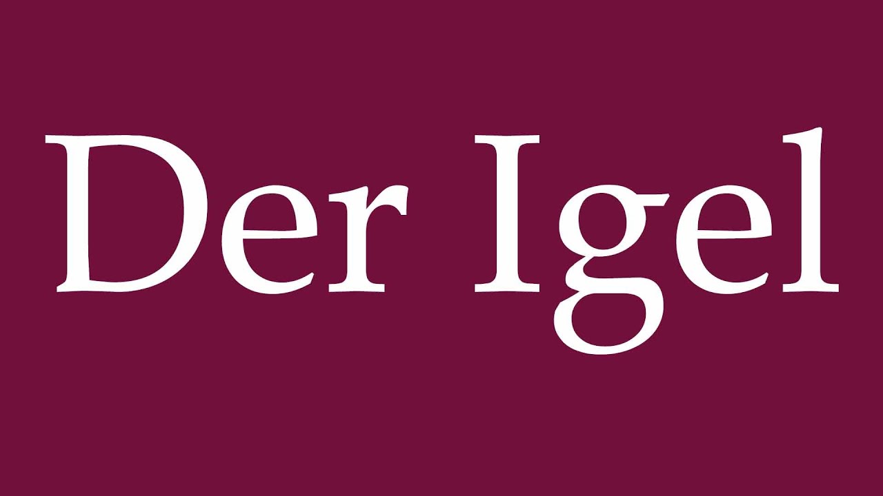 How to Pronounce ''Der Igel'' (The Hedgehog) Correctly in German - YouTube