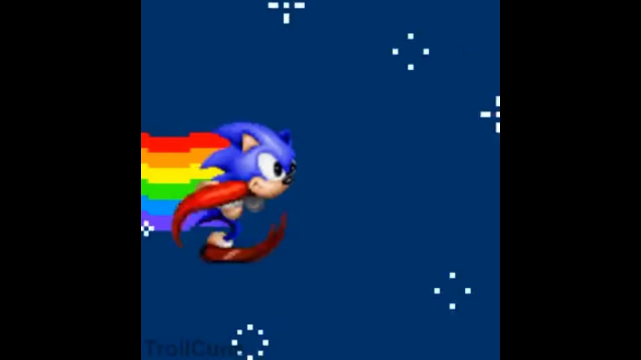 nyan sonic Extended - YouTube