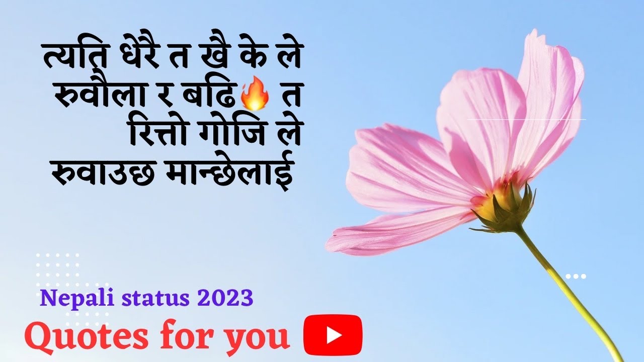 Nepali status 2023 | quotes nepali | nepali status video | status - YouTube