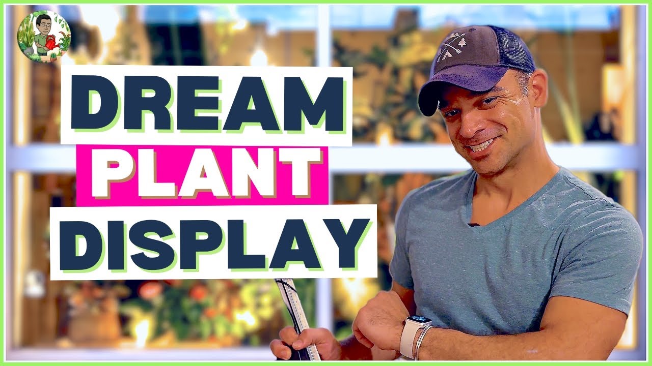 House Plant Chores and Chat: Create Your Dream Plant Display - YouTube