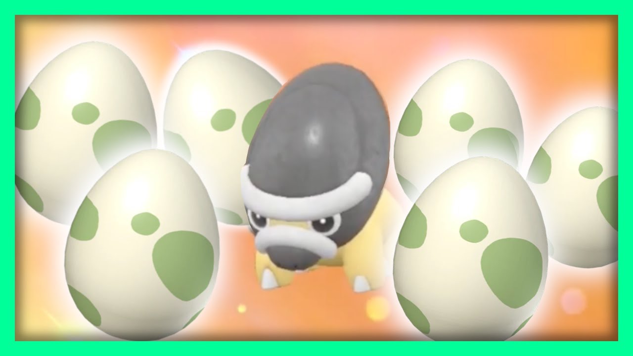 1500+ Eggs, The Shiny Shieldon Hunt - YouTube