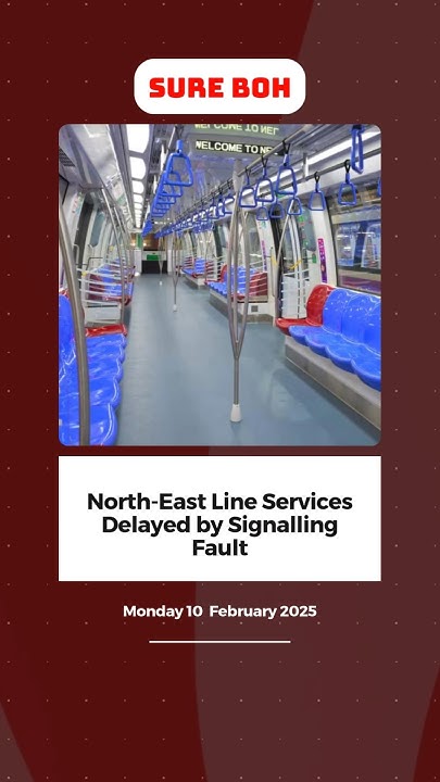 North-East Line Services Delayed by Signalling Fault - YouTube