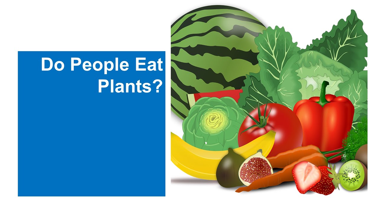 Growing Gardeners: Do People Eat Plants? - YouTube
