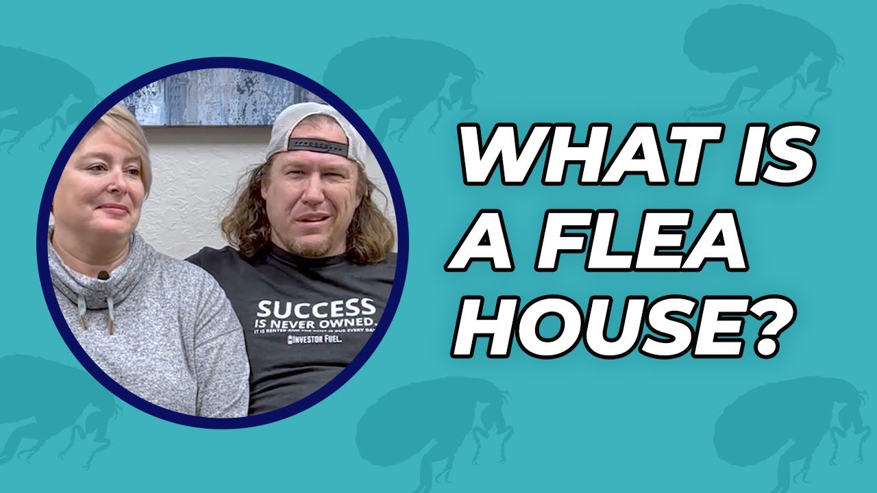 What is a FLEA House? - YouTube