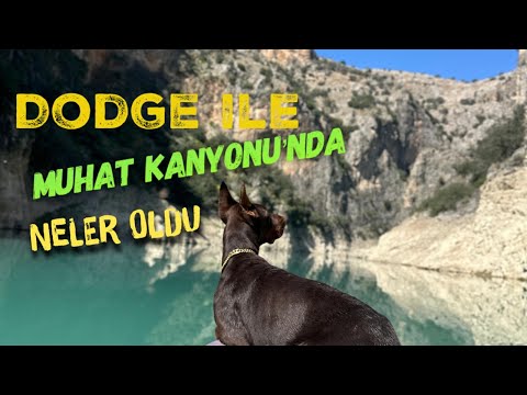 Kanyonun Derinliklerinde Kano ve Yüzme! | Muhat Irmağı Keşfi
