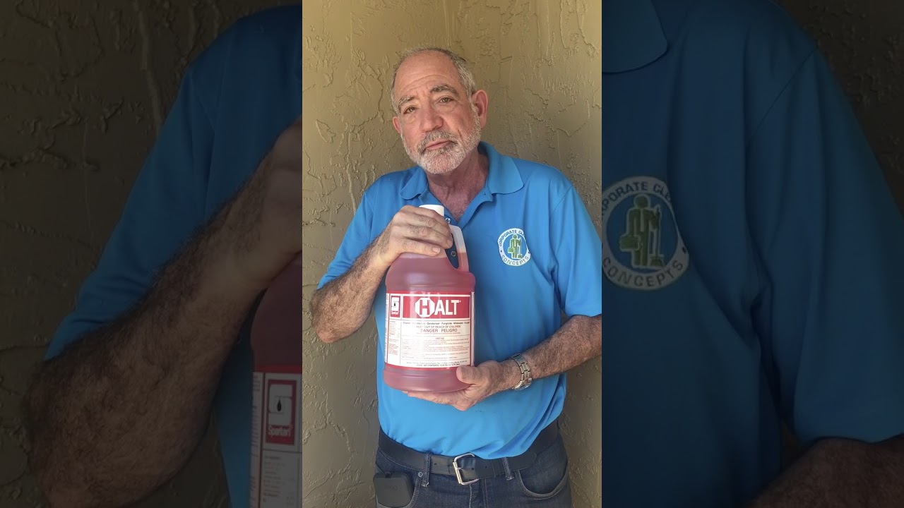 HALT DISINFECTANT CLEANER - YouTube