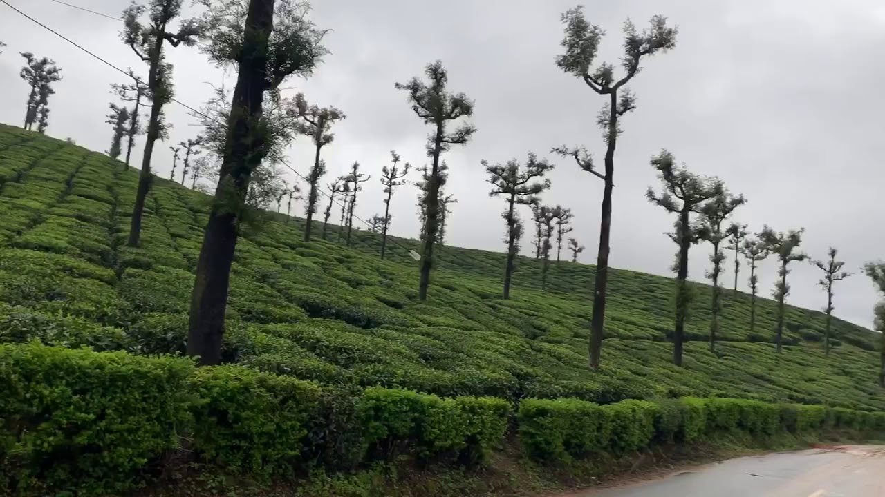 Valparai During monsoon - YouTube