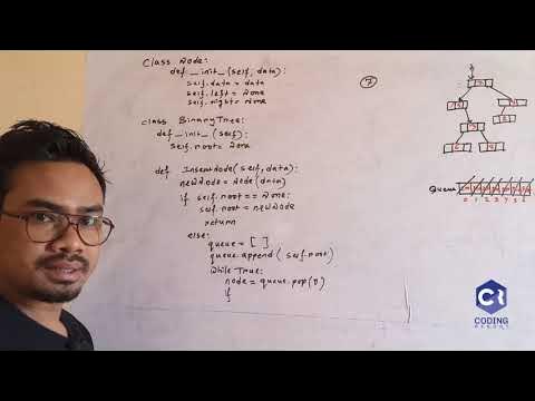 Binary Tree Implementation using Python | Data Structures - YouTube