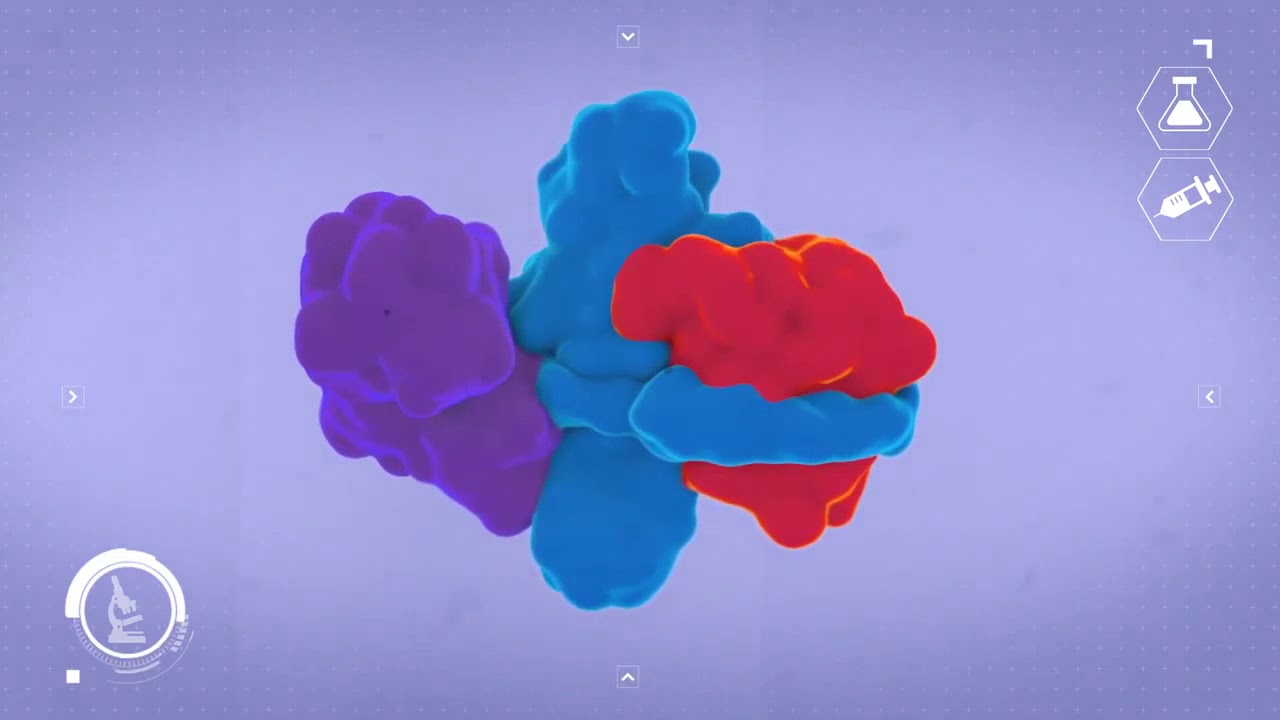 Botulinum Neurotoxin Mechanism of Action - YouTube