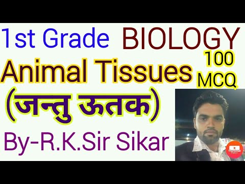 1st Grade Biology ClassesAnimal Tissues MCQ RK BIOLOGY CLASSES - YouTube