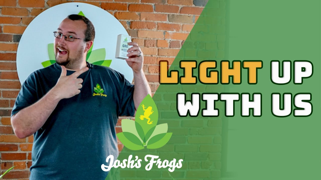 New Josh's Frogs Lighting - YouTube