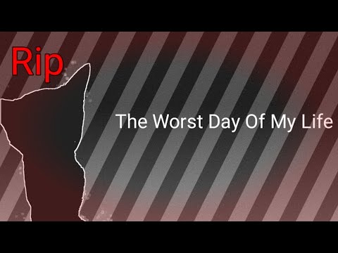 The Worst Day Of My Life (Story) - YouTube