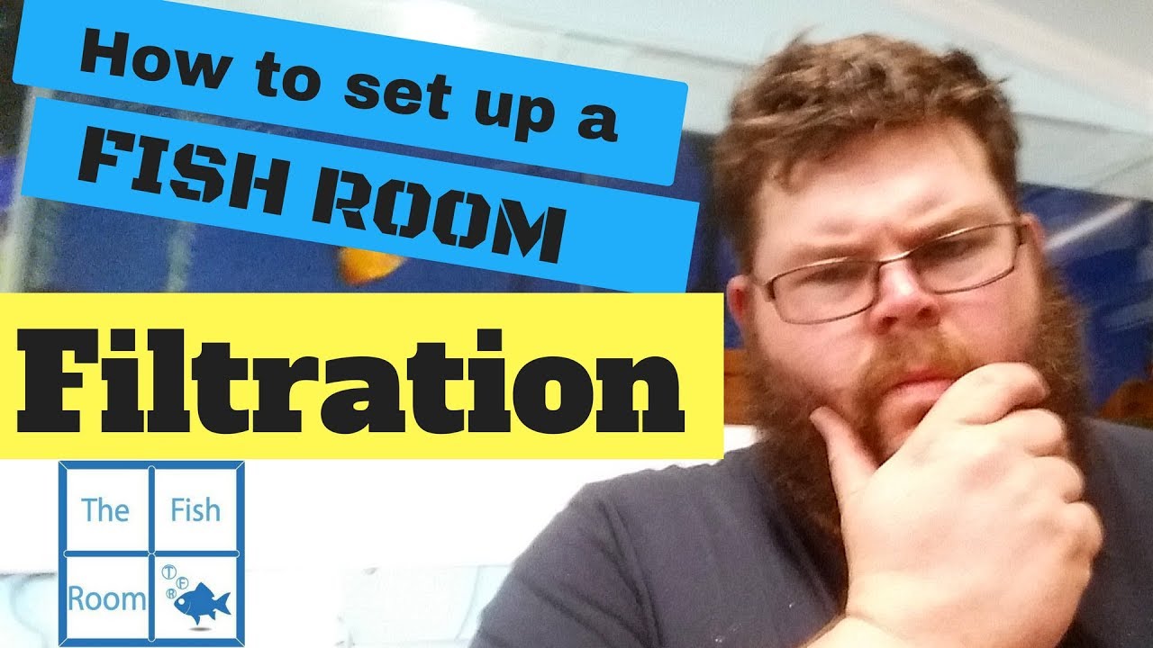 How to set up a fish room: central air filtration system - YouTube