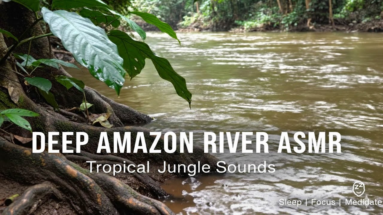 Deep Amazon River ASMR | Tropical Jungle Rain & Water Sounds for ...