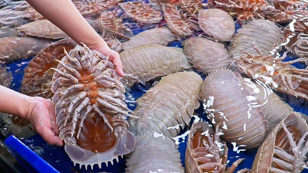 HORRIFYING! Fishermen catch and process a terrifying giant isopod ...