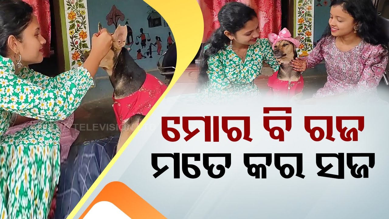 Raja Sankranti 2024 | Odia festivities are not limited to humans - YouTube