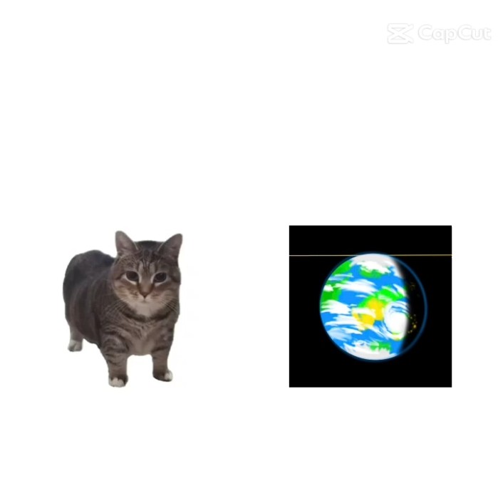 U I a u I I a a #meme #funny #cat #shorts - YouTube