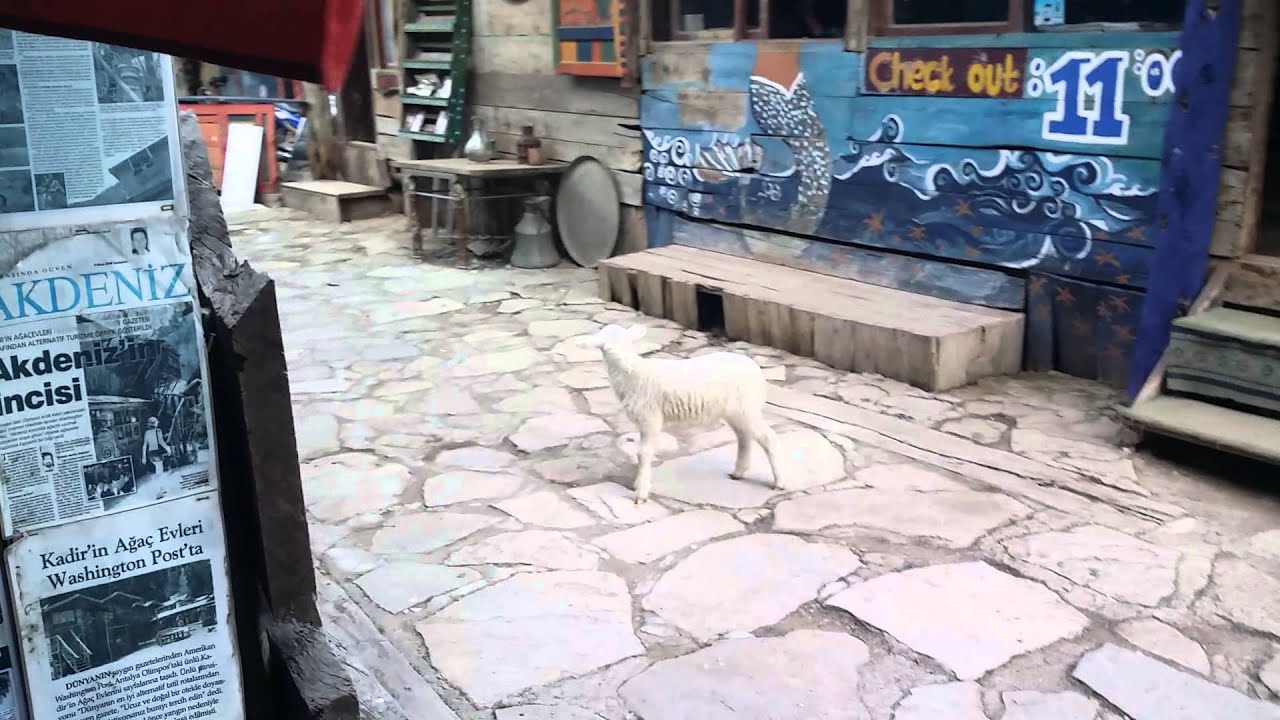 Kadir's Tree Houses Olympos, Turkey - YouTube