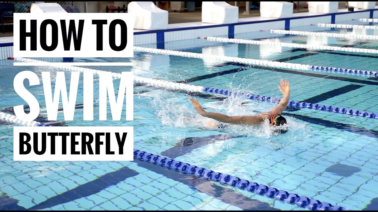 How to Swim Butterfly | Expert tips from Olympic Champion Stephanie ...