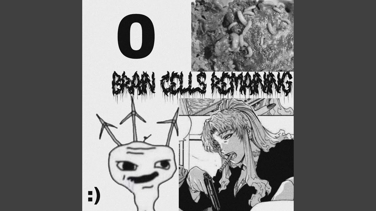 0 BRAIN CELLS REMAINING (interlude) - YouTube