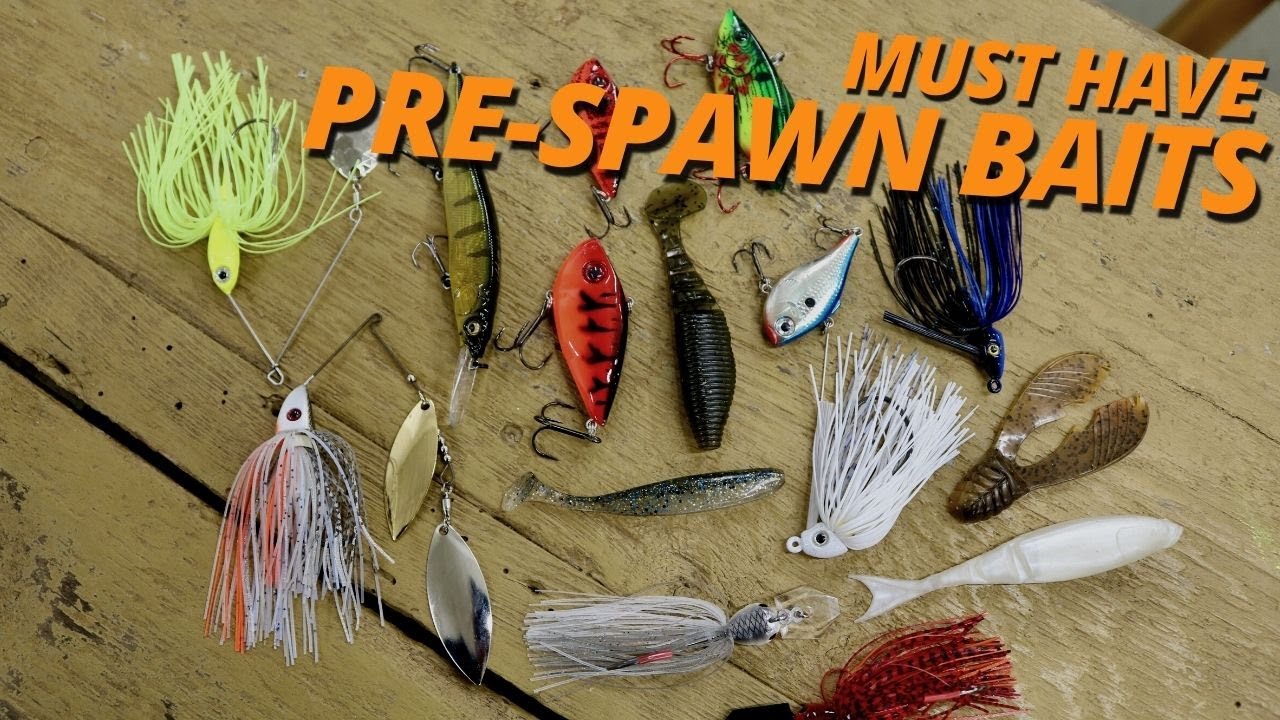 Every Bait You Need for the Pre-Spawn - YouTube