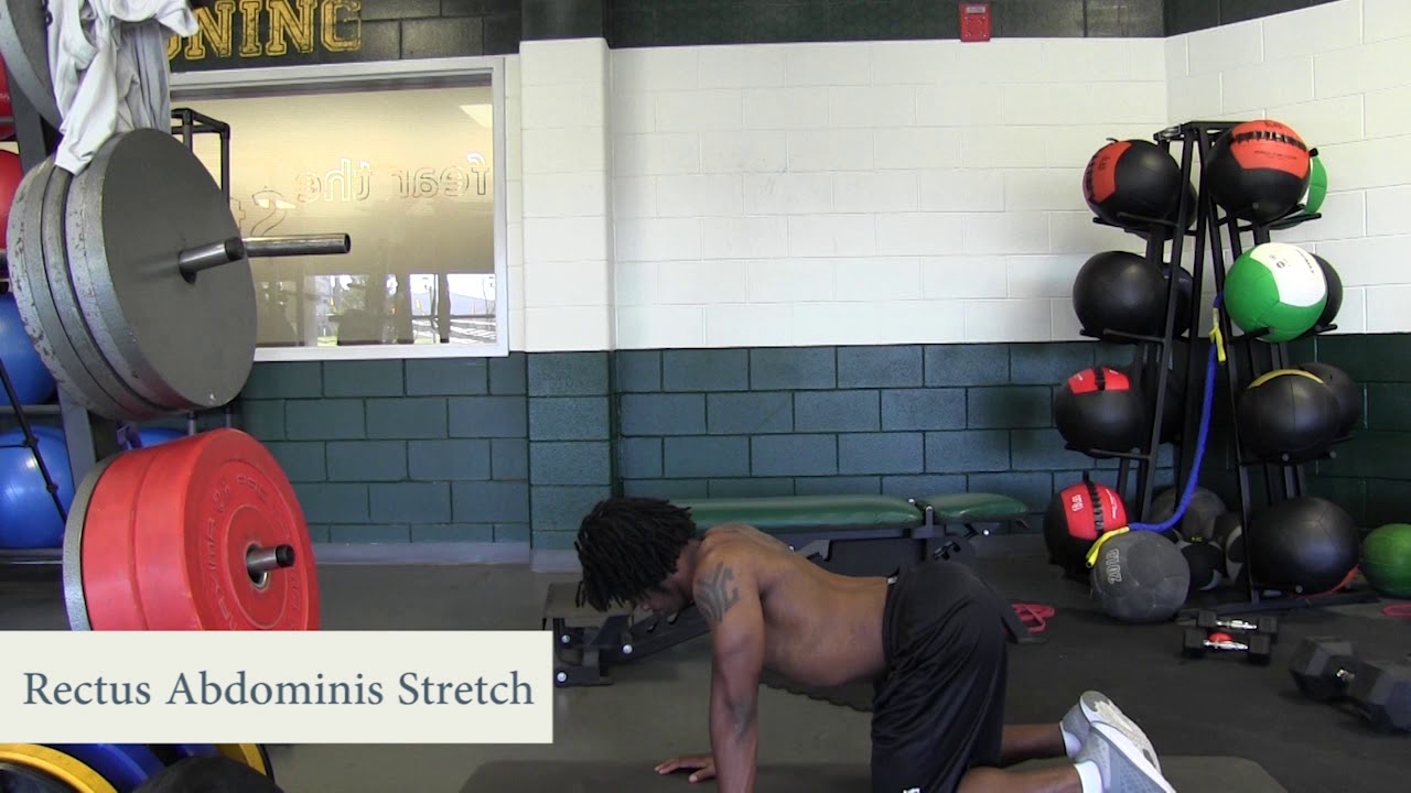 Rectus Abdominis Stretch - YouTube
