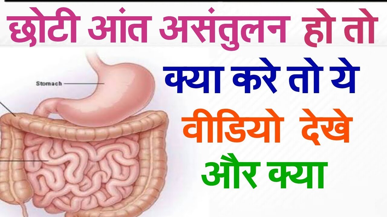 small intestine(small intestine meridian by Dr Gaurav Anand - YouTube