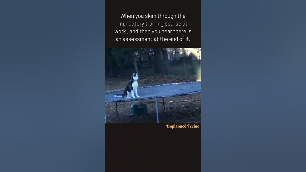Relatable Trendingshorts Funny Developermemes Comedy Itjokes Codingmemes Codememes