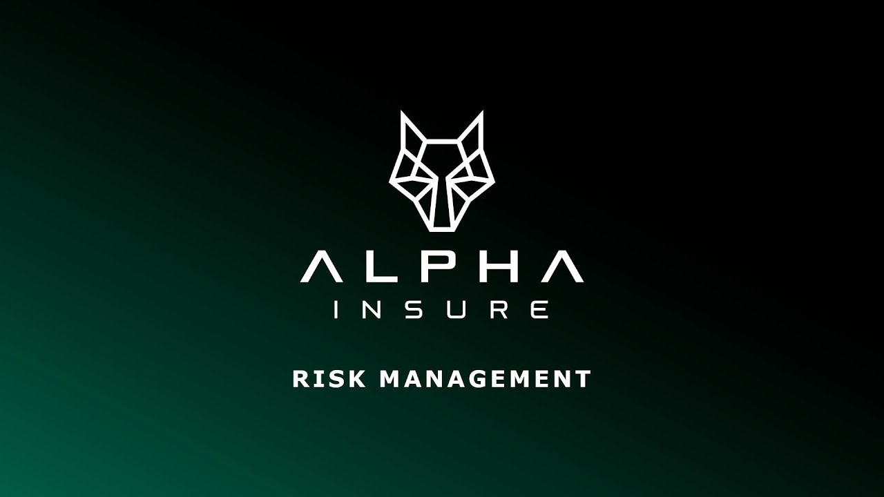 Introduction to Alpha Insure’s Risk Management Department | Alpha ...