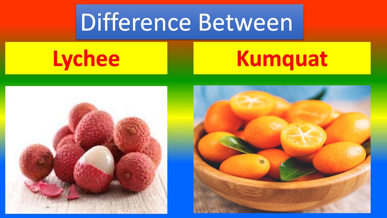 Differences Between Medical And Health Benefits Of Lychee and Kumquat ...