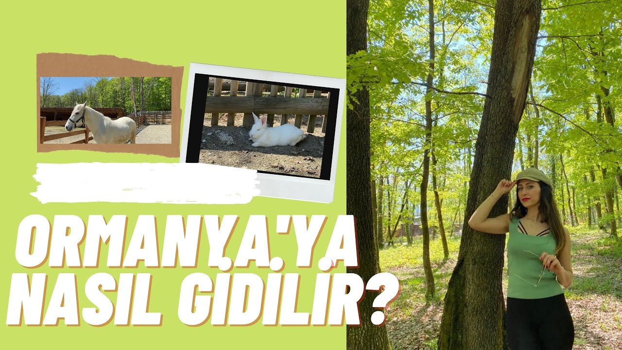 Ormanya’ya Nasıl Gidilir? #ormanya - YouTube