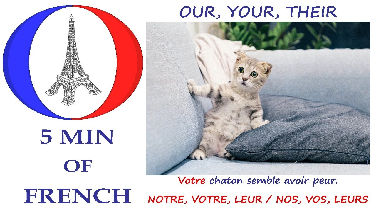 Learn French: OUR, YOUR, THEIR (Notre, Votre, Leur, Nos, Vos, Leurs ...
