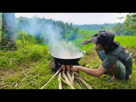 LIVE lanjut masak besar - petik di kebun langsung masak