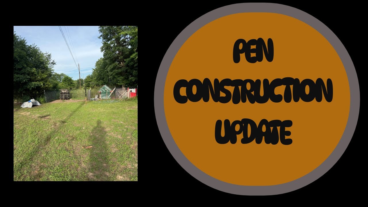 PEN CONSTRUCTION UPDATE - YouTube